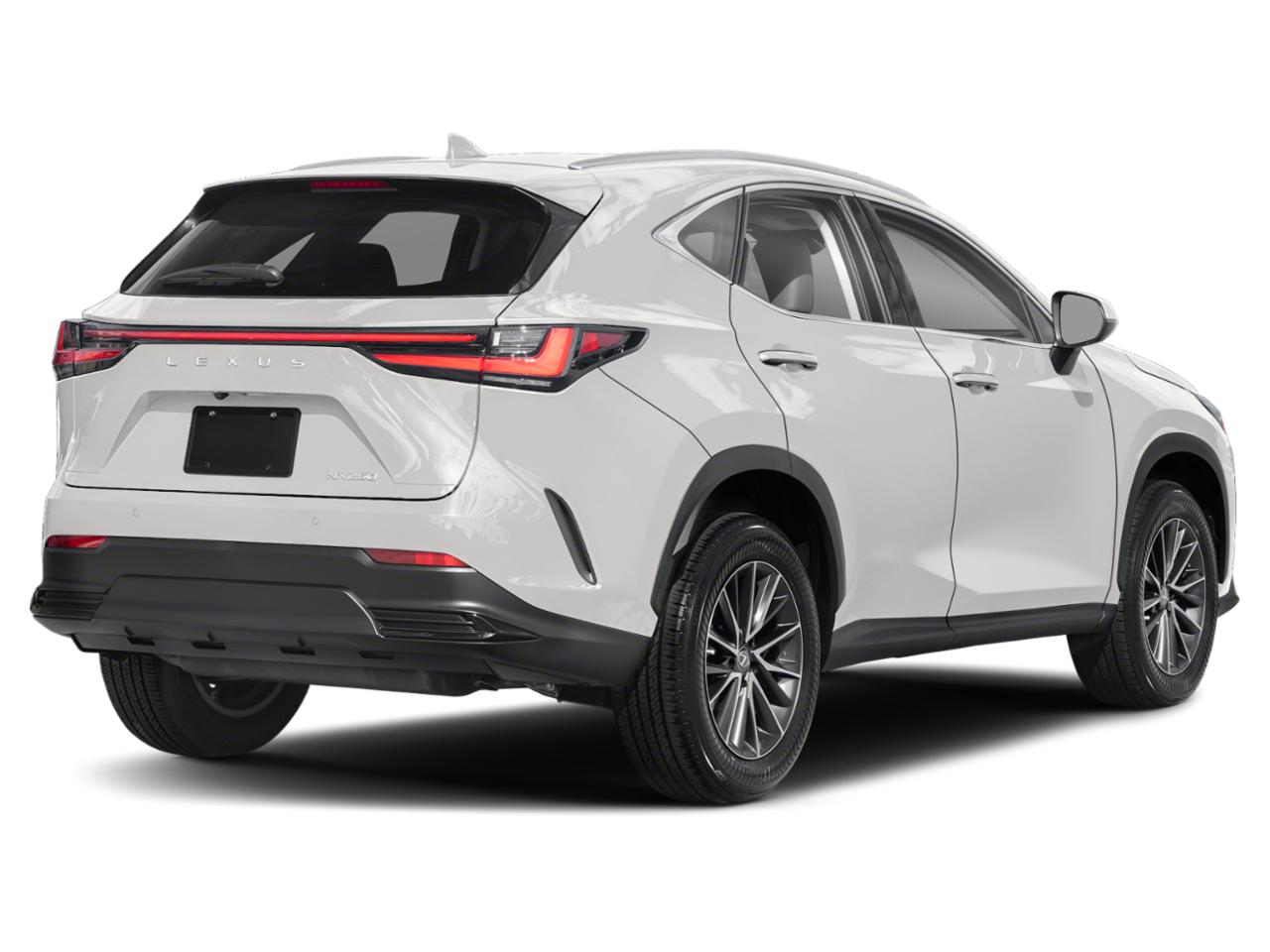 Pre-Owned Lexus NX in Apex NC | R17177A